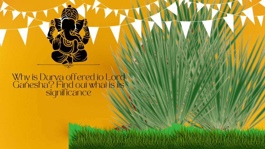 Why is Durva offered to Lord Ganesha? Find out what is its significance ...