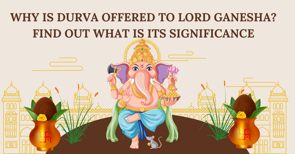 Why is Durva offered to Lord Ganesha? Find out what is its significance ...